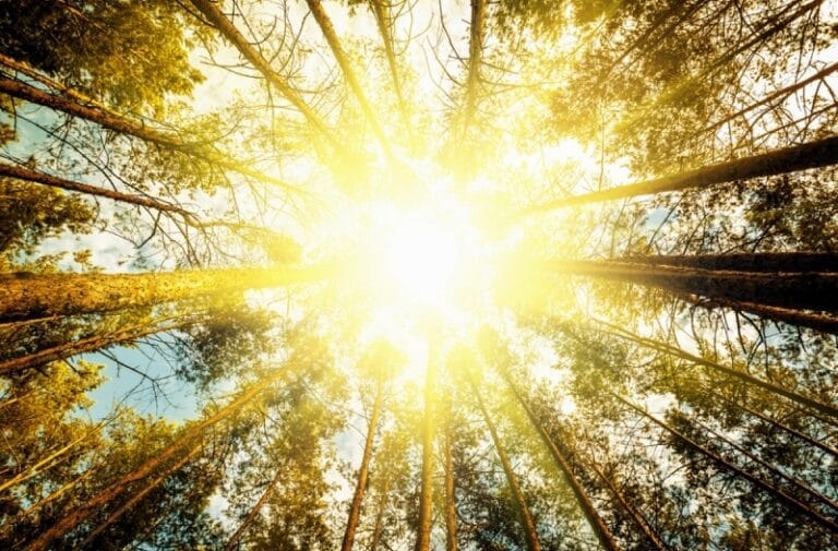 How Long does it Take for Sunlight to reach Earth?
