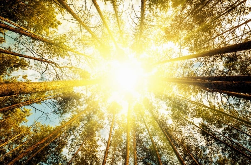 How Long does it Take for Sunlight to reach Earth?