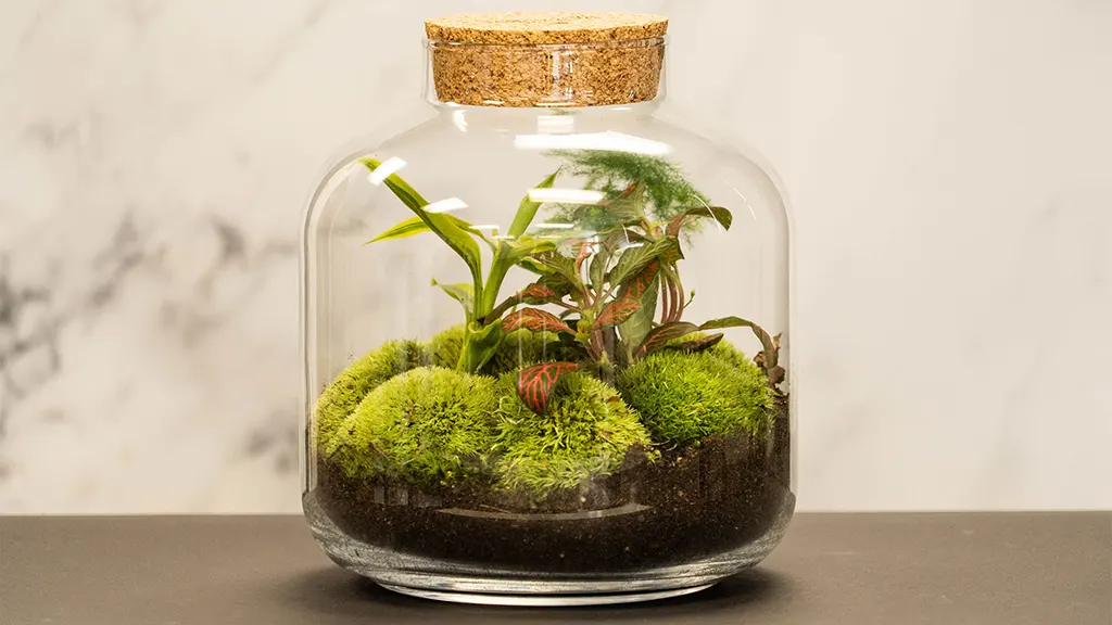 Self Sustaining Ecosystem with Animals: Best Practices